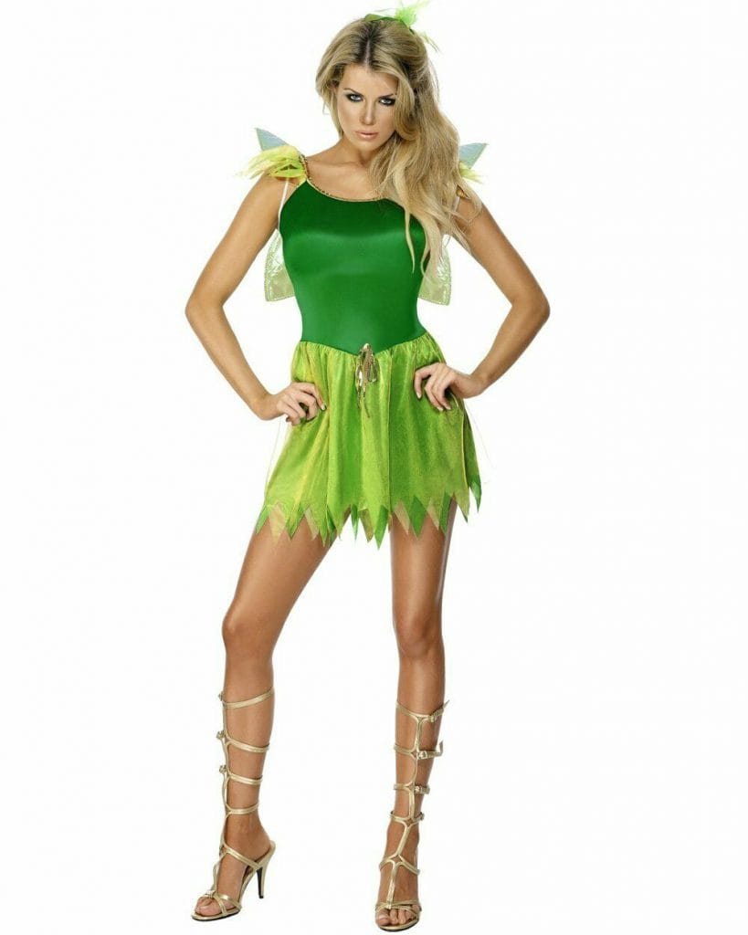 Woodland Green Fairy Tinkerbell Costume & Wings Pixie Tinker Bell ...